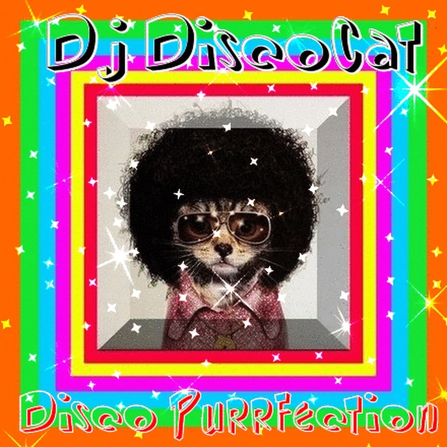 DJDiscoCat | Wikitubia | Fandom