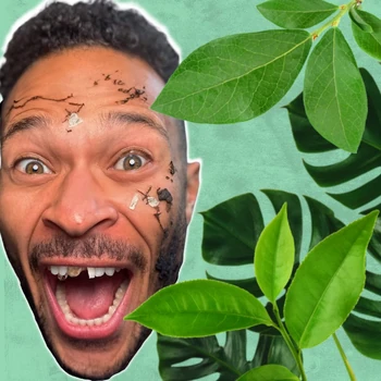 Cole Anderson-James | Wikitubia | Fandom