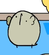 Konuri | Wikitubia | Fandom