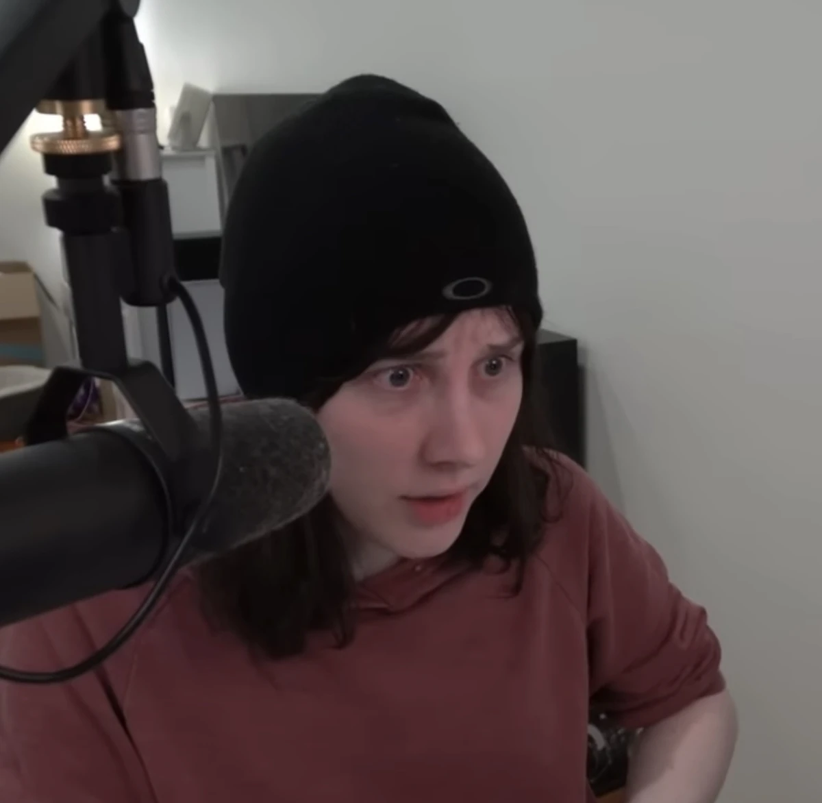 Flebsy | Wikitubia | Fandom