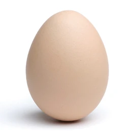 The Egg | Wikitubia | Fandom