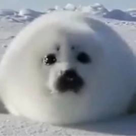 iTMG | Wikitubia | Fandom