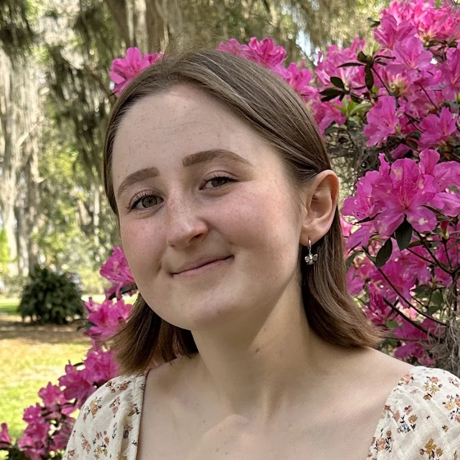 lilsimsie | Wikitubia | Fandom