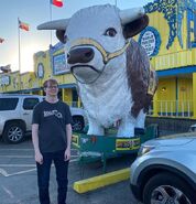 CallMeCarson | Wikitubia | Fandom