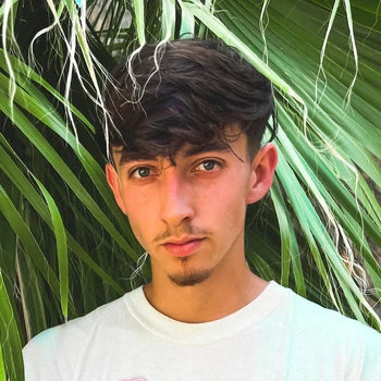 Simplistic | Wikitubia | Fandom