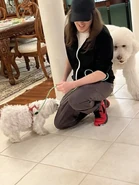 BadBoyHalo | Wikitubia | Fandom