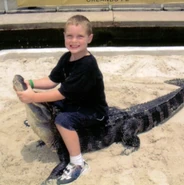 Dream | Wikitubia | Fandom