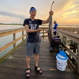 ShoPhoCho | Wikitubia | Fandom