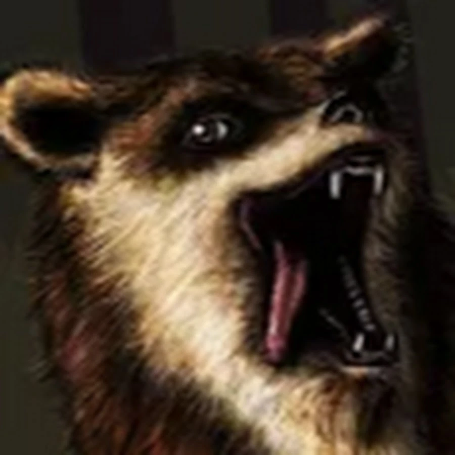 BeardBear | Wikitubia | Fandom