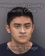 Ireland Boys Productions | Wikitubia | Fandom