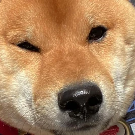 iNabber | Wikitubia | Fandom