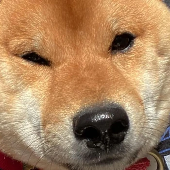 iNabber | Wikitubia | Fandom