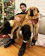 HasanAbi | Wikitubia | Fandom