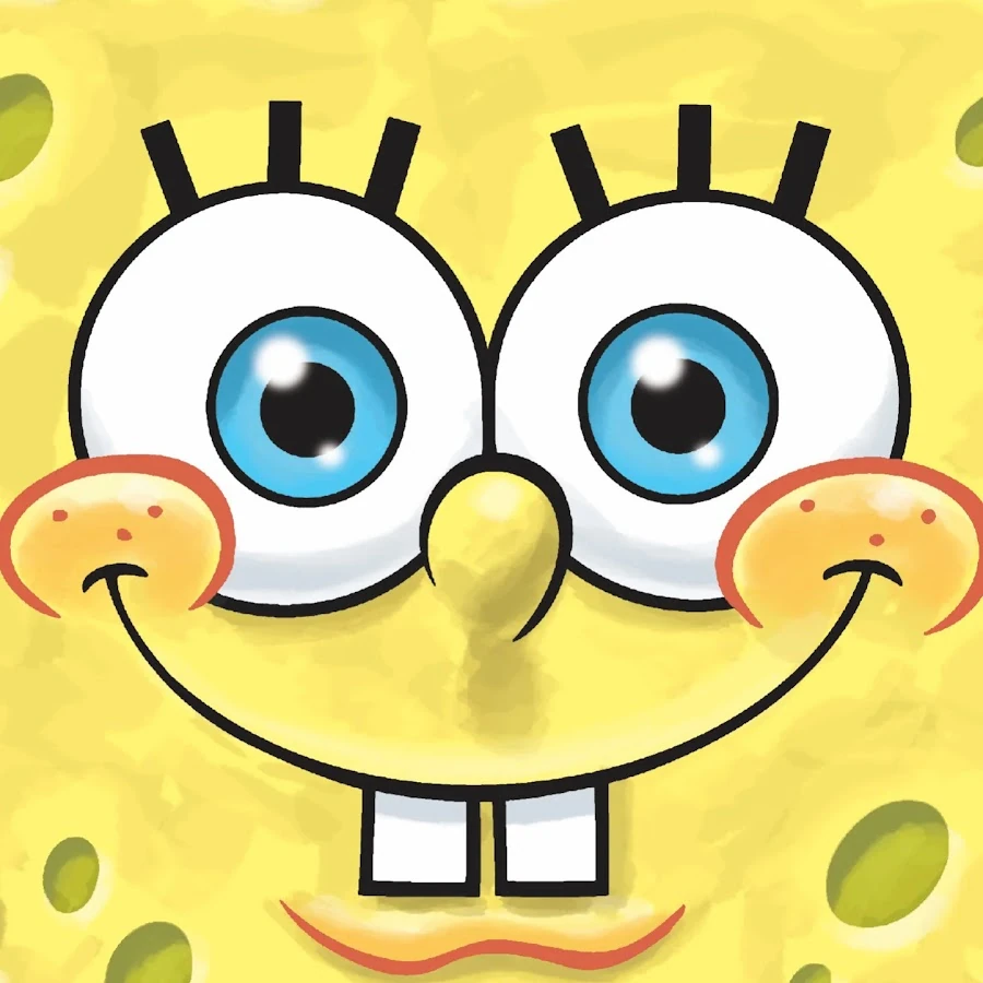 SPONGE | Wikitubia | Fandom