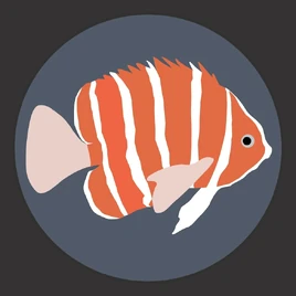 Boylei Hobby Time | Wikitubia | Fandom