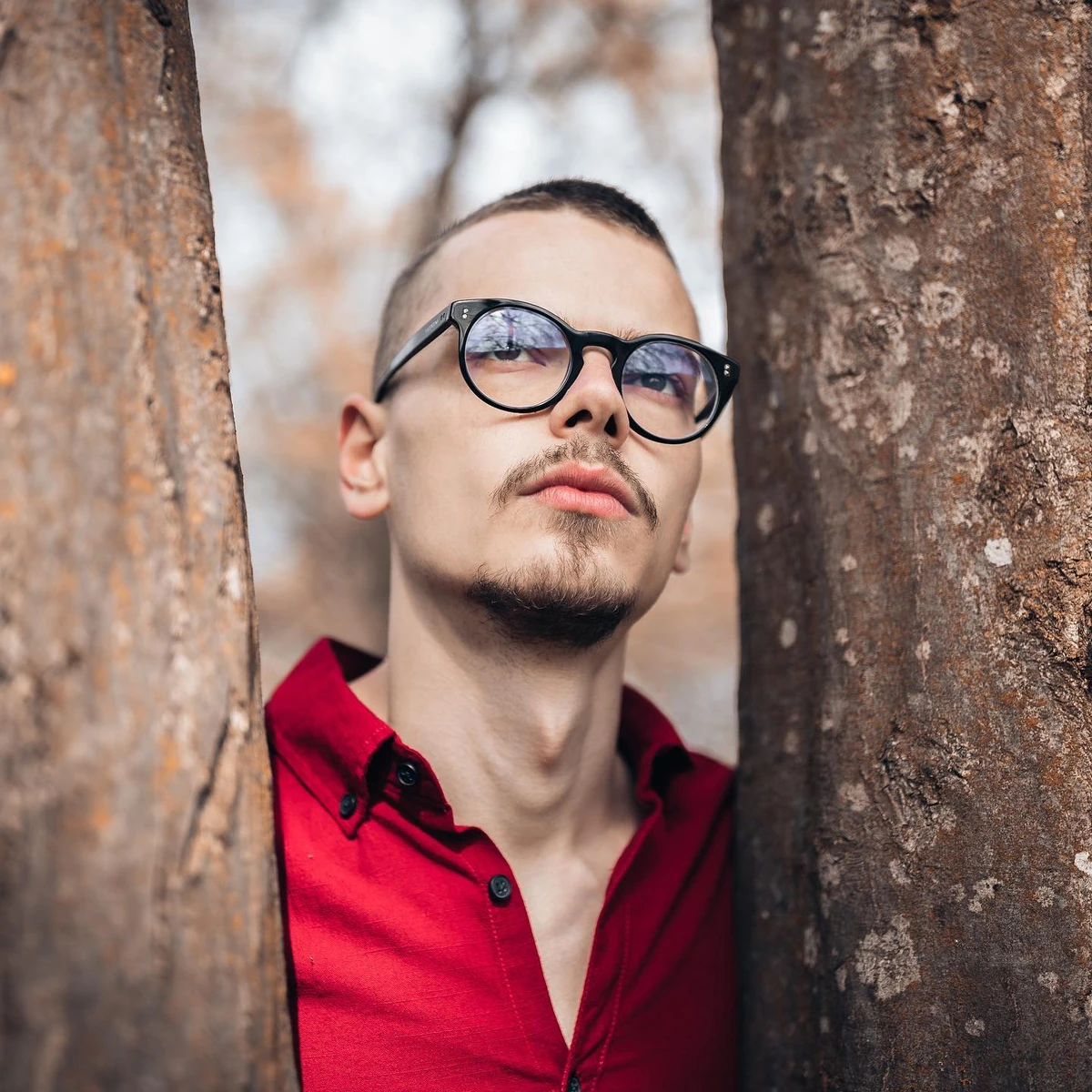 Maxsialtele | Wikitubia | Fandom