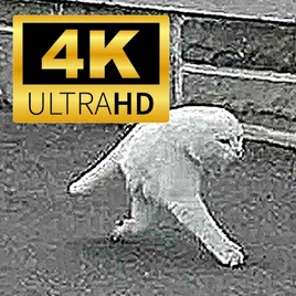 NINE-UP | Wikitubia | Fandom