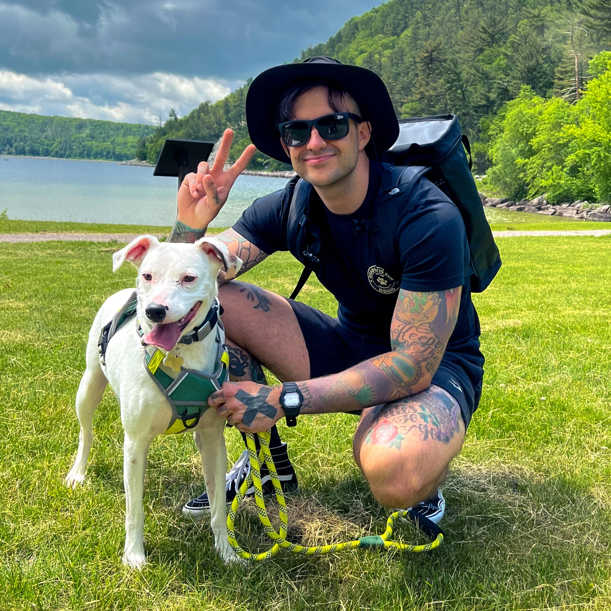 Steven In Stereo | Wikitubia | Fandom