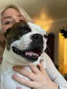 Anisa | Wikitubia | Fandom