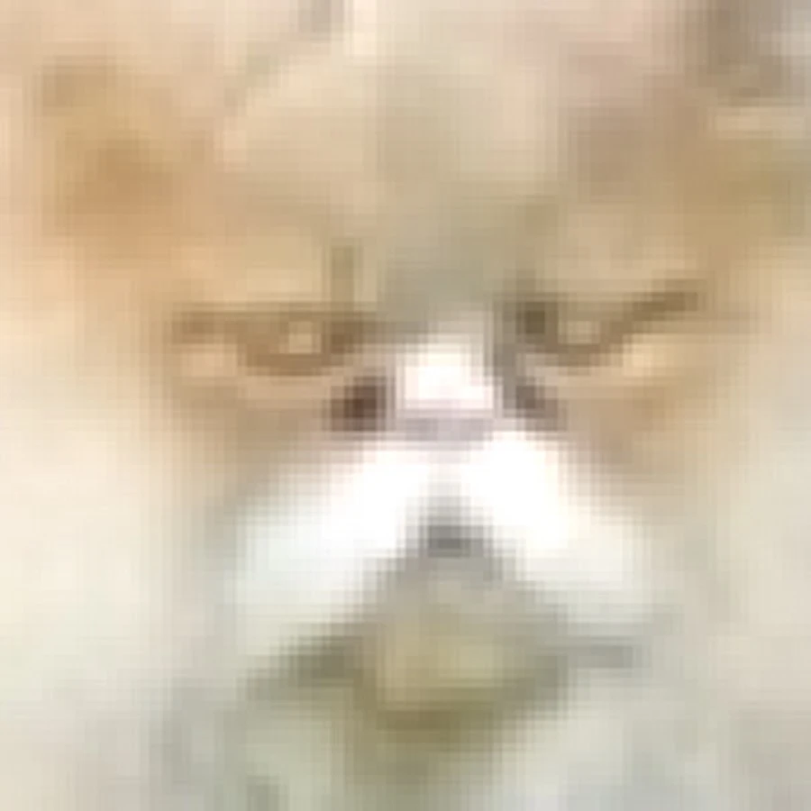 an0nymooose | Wikitubia | Fandom