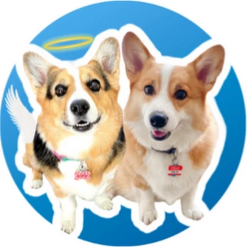 Hammy and Olivia | Wikitubia | Fandom