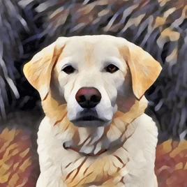 GeoBeats Animals | Wikitubia | Fandom