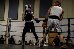 FoxTheG | Wikitubia | Fandom