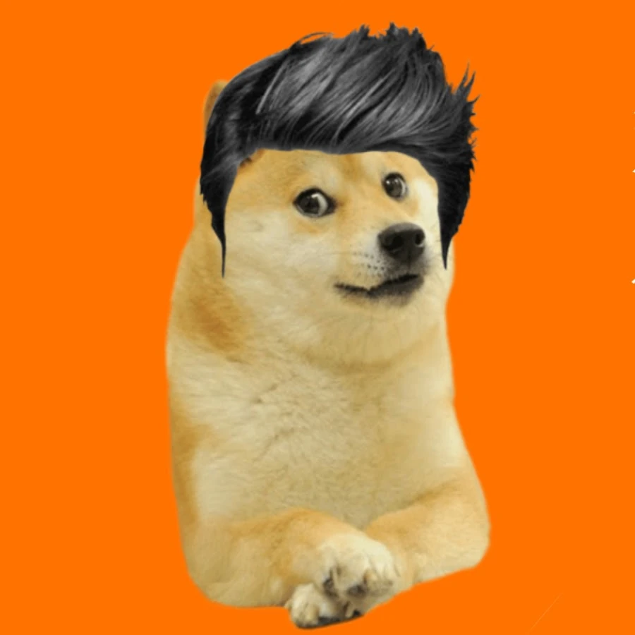 Hilos ZC | Wikitubia | Fandom