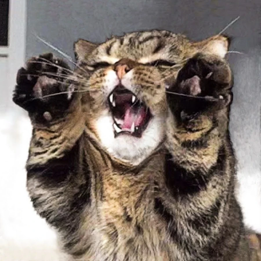 Kittisaurus | Wikitubia | Fandom