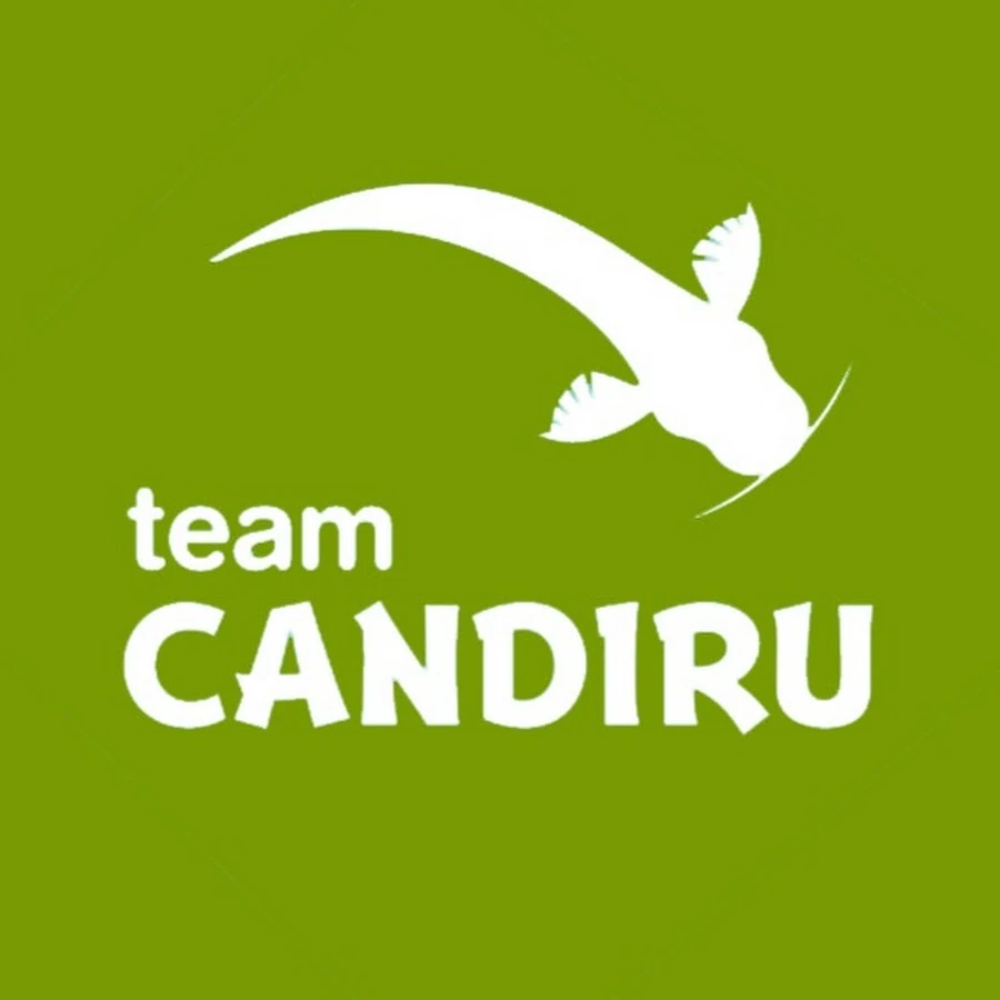 Team Candiru | Wikitubia | Fandom