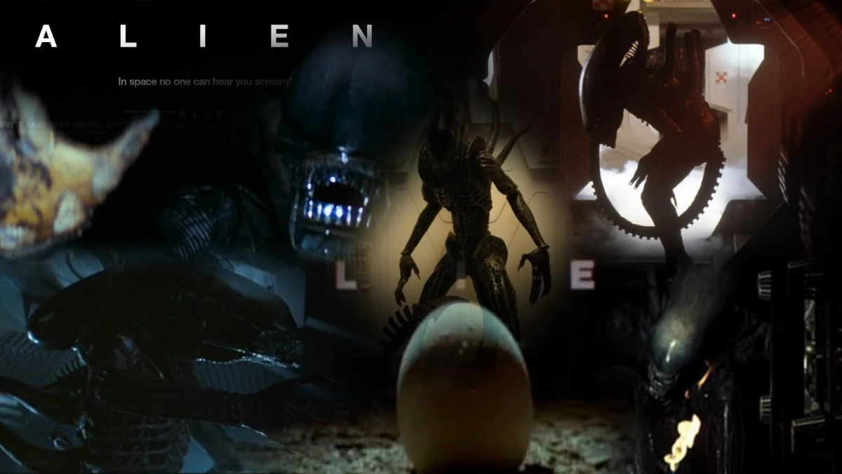 CLASSIFICA ALIEN: TUTTI I FILM DAL PEGGIORE AL MIGLIORE | YouTube Wiki ...