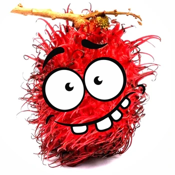 DOODLAND | Wikitubia | Fandom