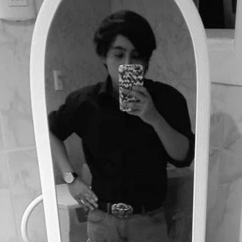 Peluchin Entertainment | Wikitubia | Fandom