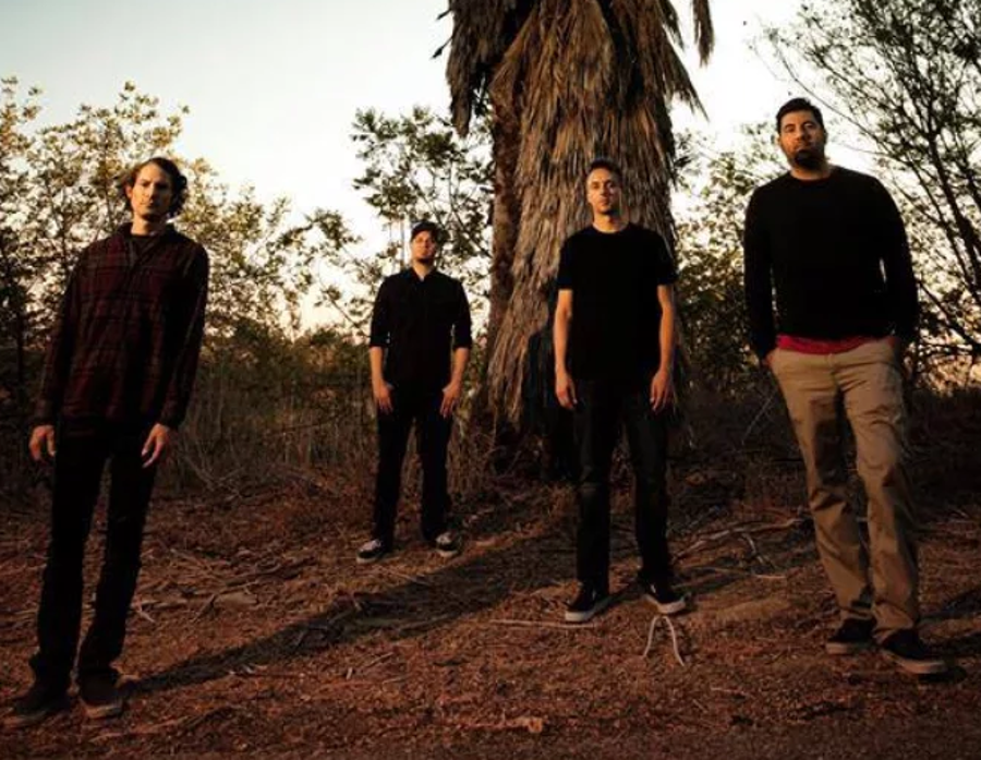 Palms Band | Wikitubia | Fandom