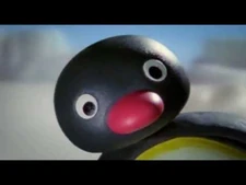 Pingu - Official Channel | Wikitubia | Fandom