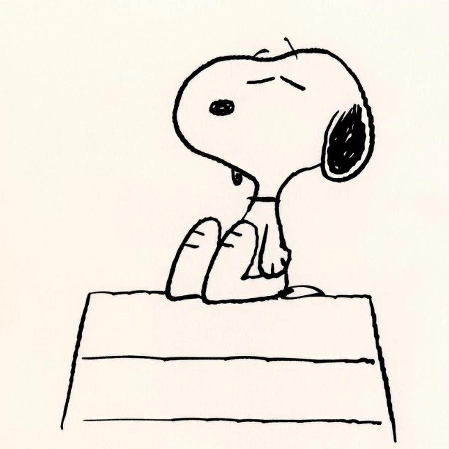 Brailor | Wikitubia | Fandom