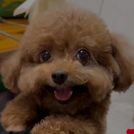 Lendon | Wikitubia | Fandom