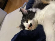 Slazo | Wikitubia | Fandom