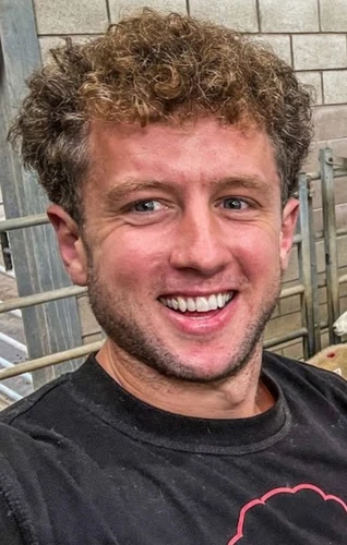 The Sheep Game | Wikitubia | Fandom