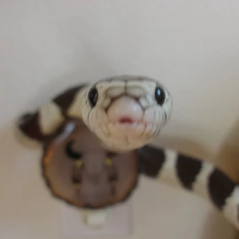 snakebitmgee | Wikitubia | Fandom