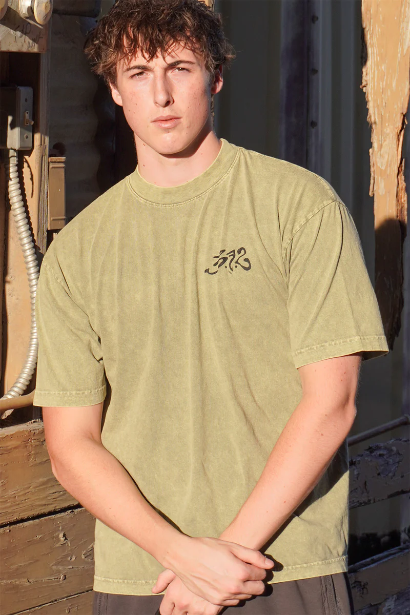 3FS | Wikitubia | Fandom