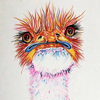 Chubbyemu | Wikitubia | Fandom