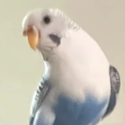 sadi1v | Wikitubia | Fandom