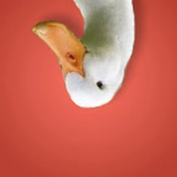 AugustTheDuck | Wikitubia | Fandom