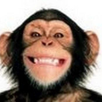 Techmoan | Wikitubia | Fandom