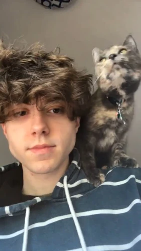 The Pals | Wikitubia | Fandom