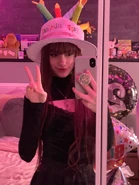 BreesKnees | Wikitubia | Fandom