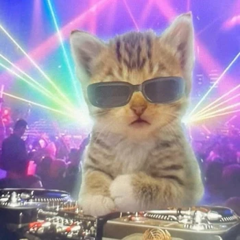 kichi cat archive | Wikitubia | Fandom