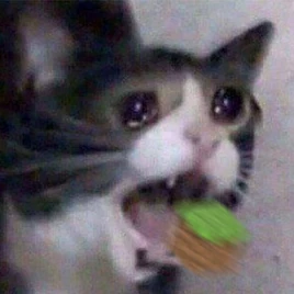 2oo | Wikitubia | Fandom