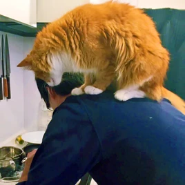 JunsKitchen | Wikitubia | Fandom